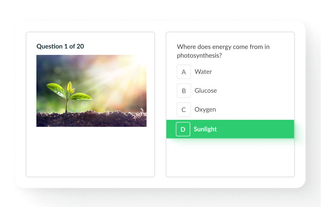Online Exam Platform - Synap
